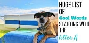 17+ Cool Words That Start With A - Self Development Journey