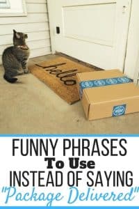 Alternative Funny Phrases for "Package Delivered!" - Self Development ...